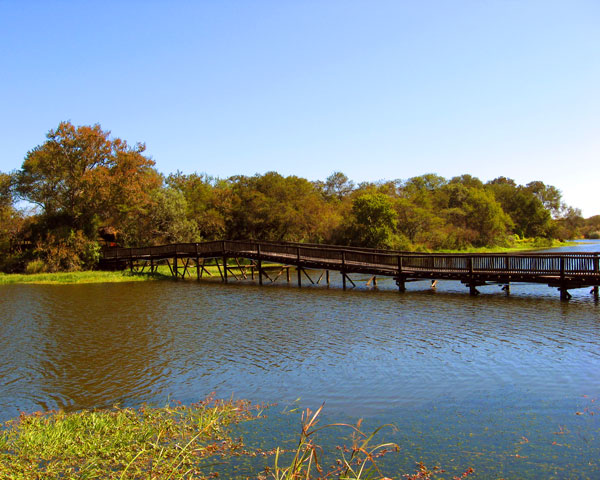 JC Journals: Pathways to peace – Beloved Walks